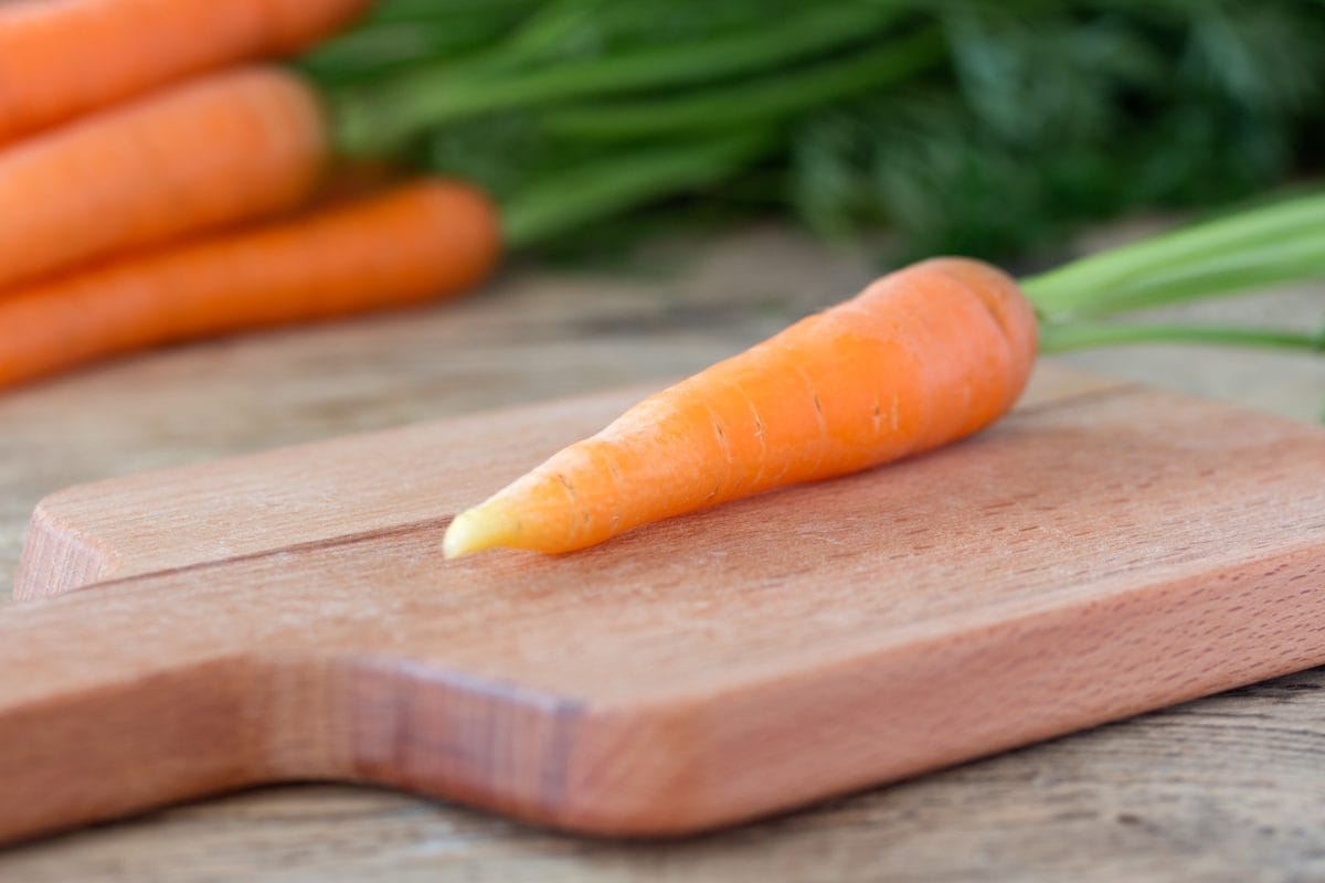14 Nutrient-Dense Vegetables to Grow in Your Garden - Frugal Gardening