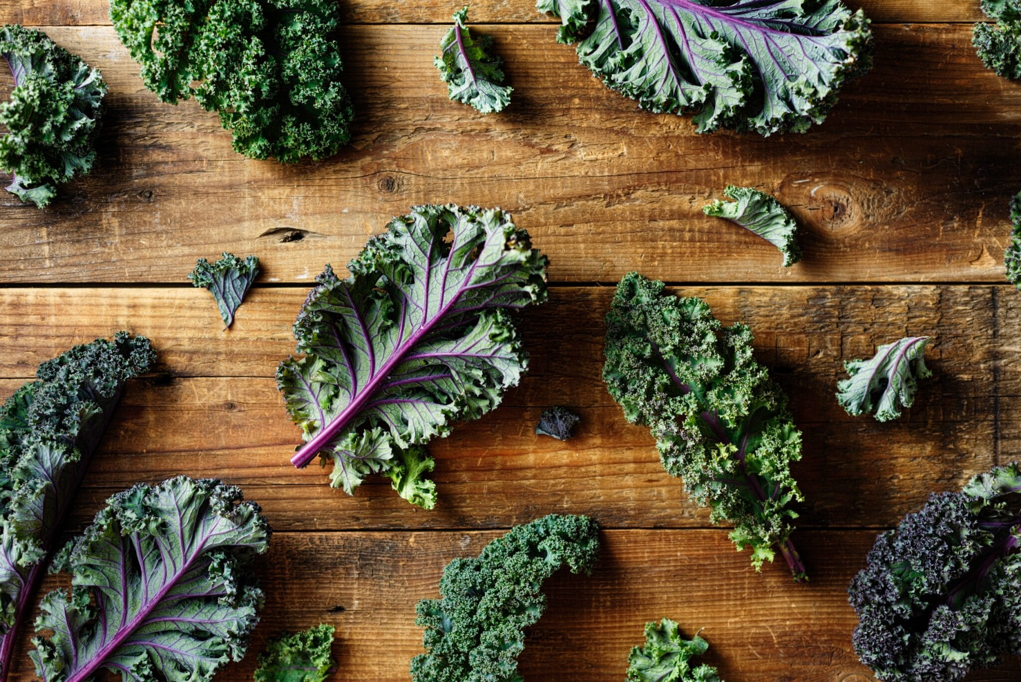 14 Nutrient-Dense Vegetables to Grow in Your Garden - Frugal Gardening