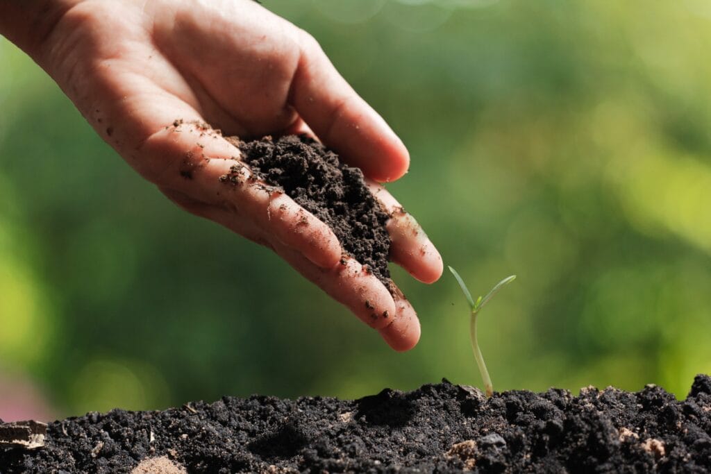 Enhance Your Garden Naturally with These Top 5 Organic Fertilizers ...