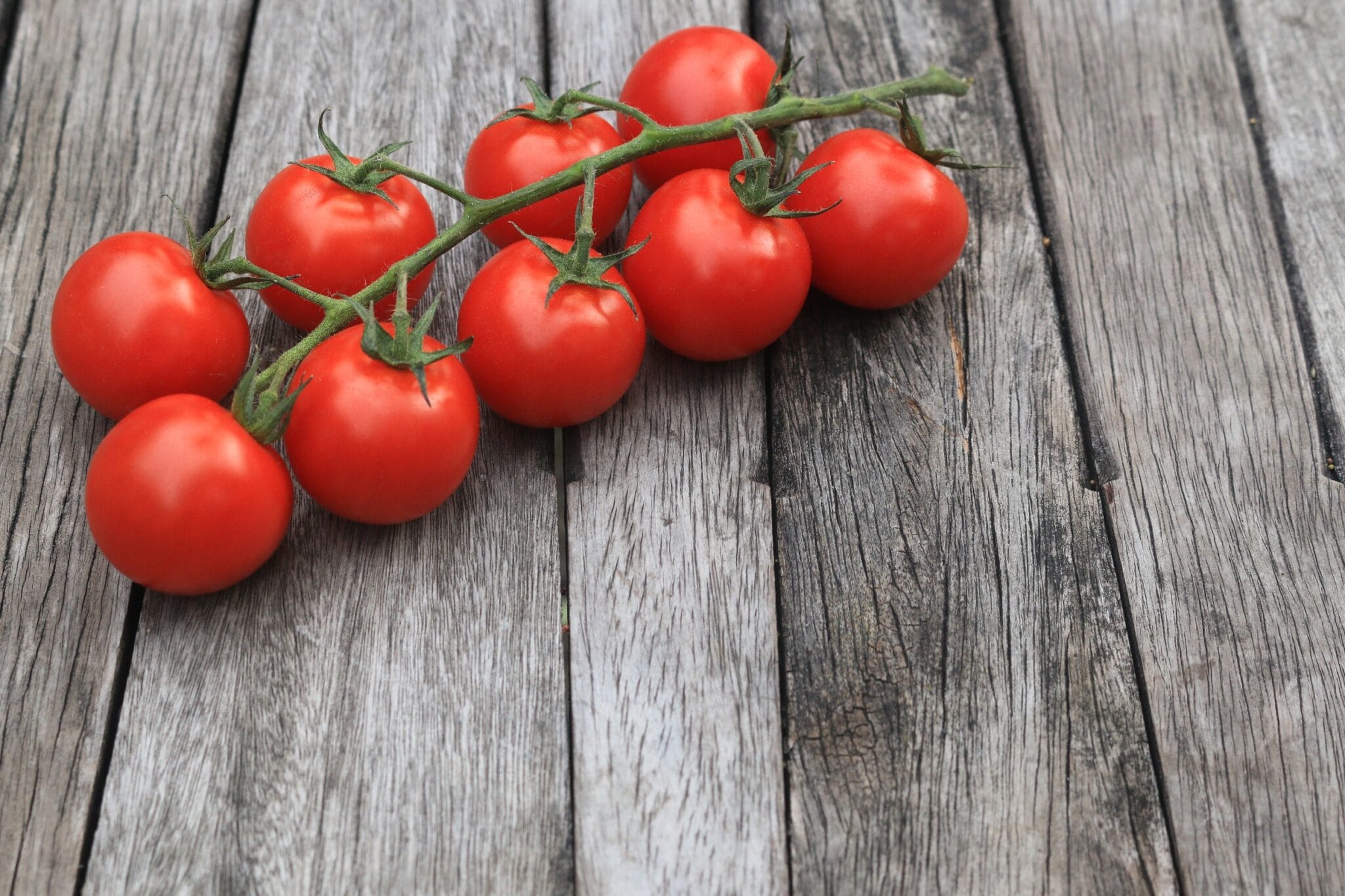 14 Nutrient-Dense Vegetables to Grow in Your Garden - Frugal Gardening