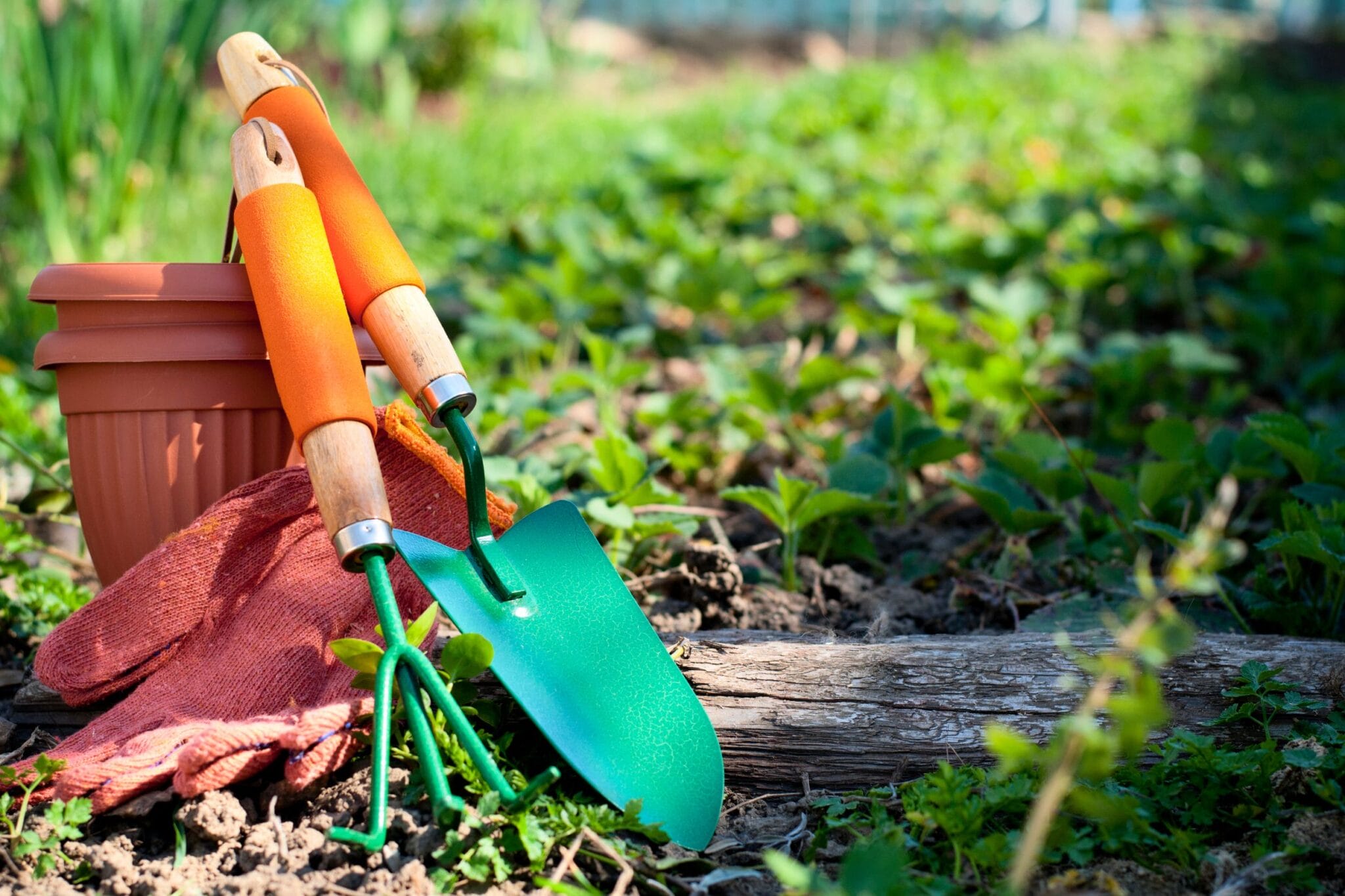 DIY Hacks: Transform Everyday Items into Cheap Gardening Tools