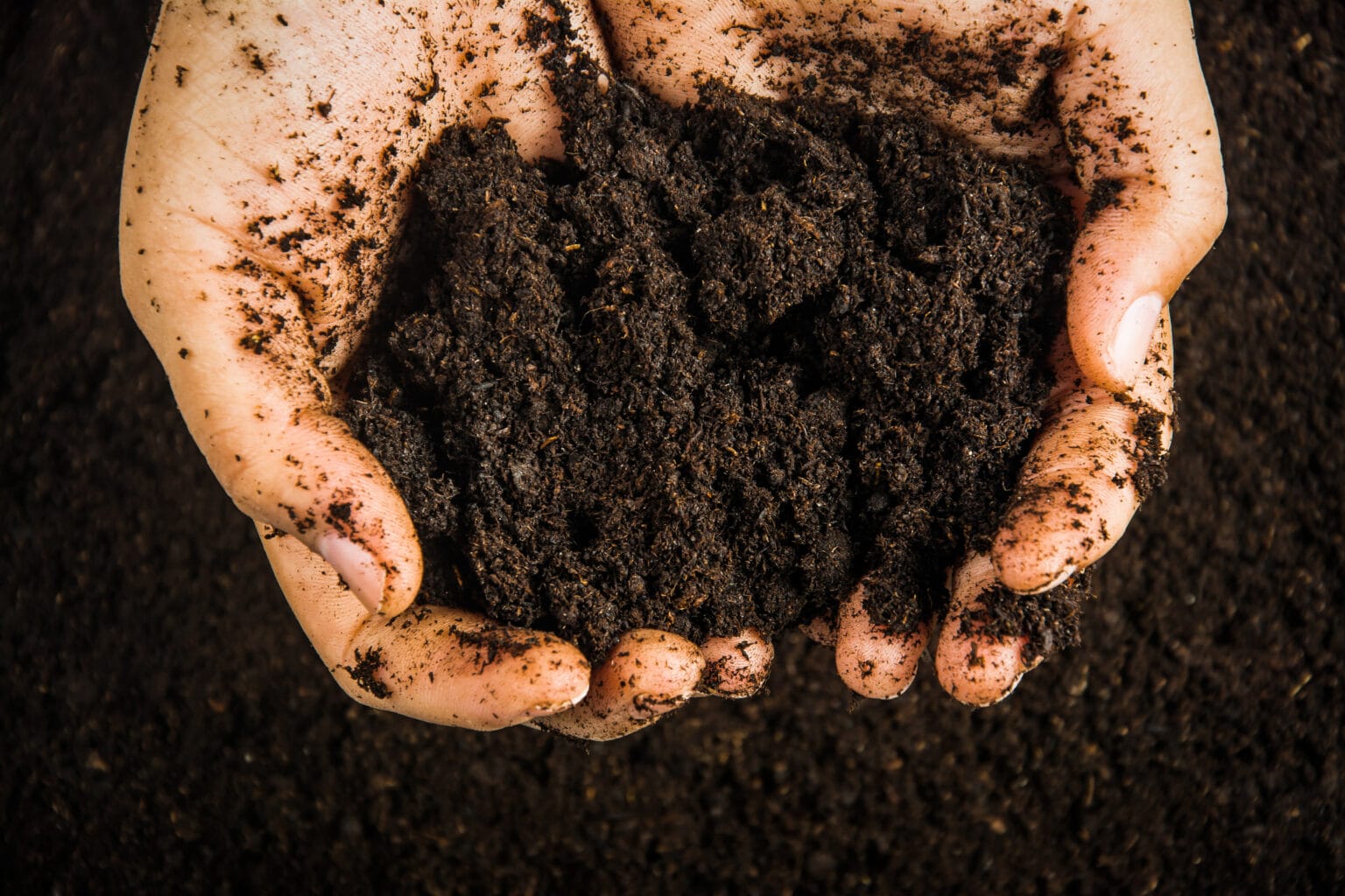 Try These Types of Soils For Your Potted Plants