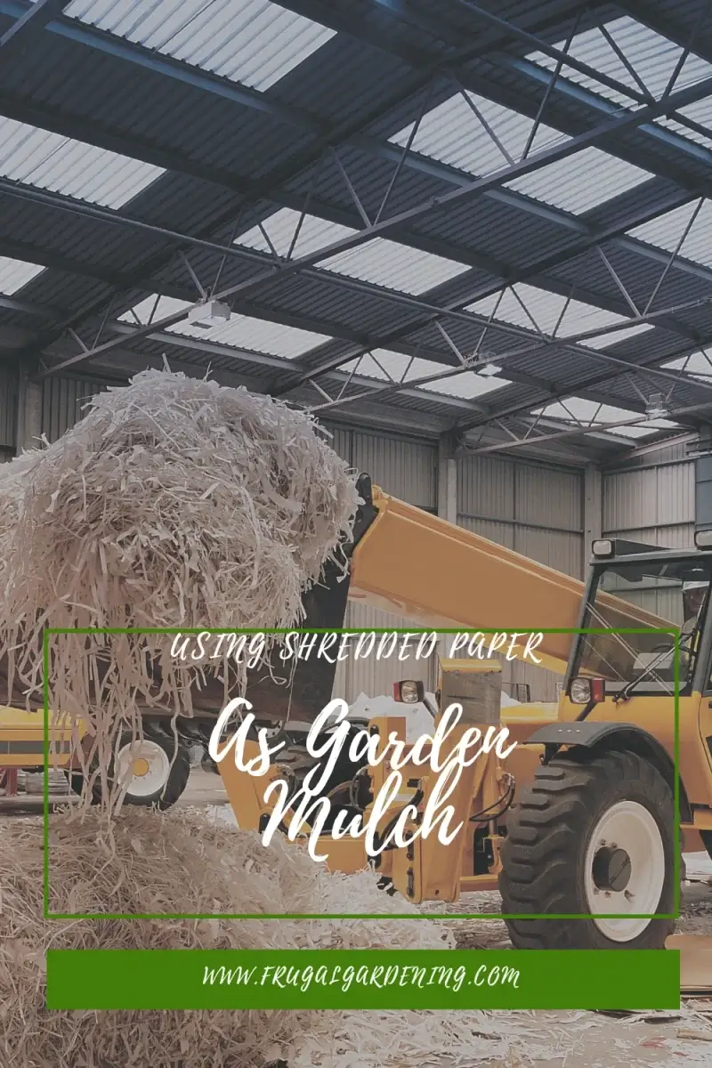 Using Shredded Paper As Garden Mulch