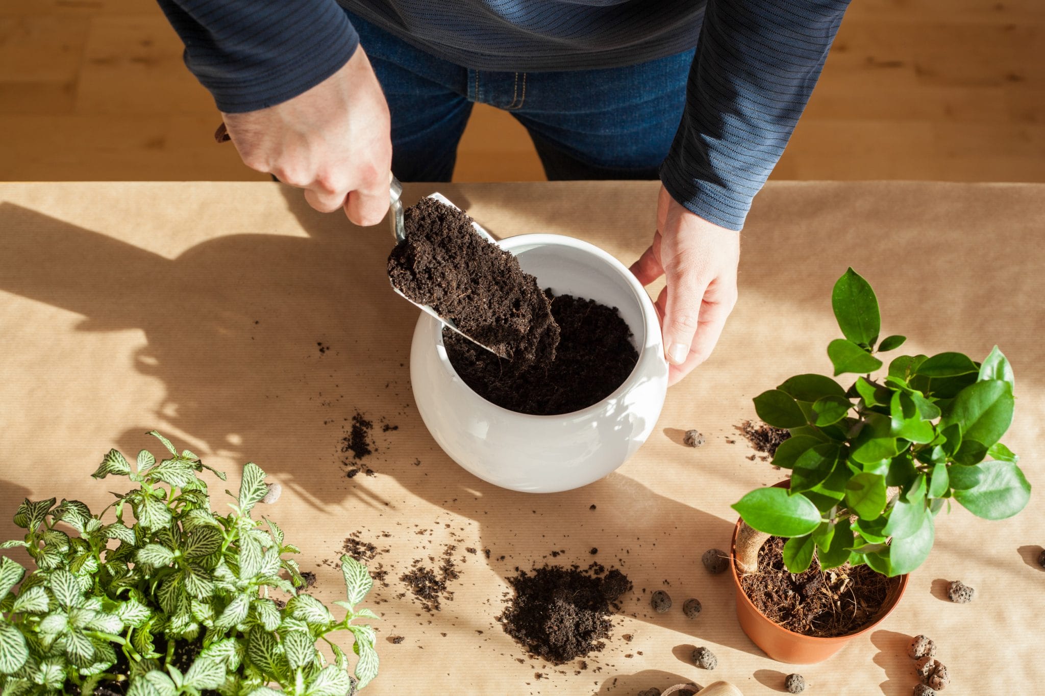 What Is The Best Soil For Container Gardening?