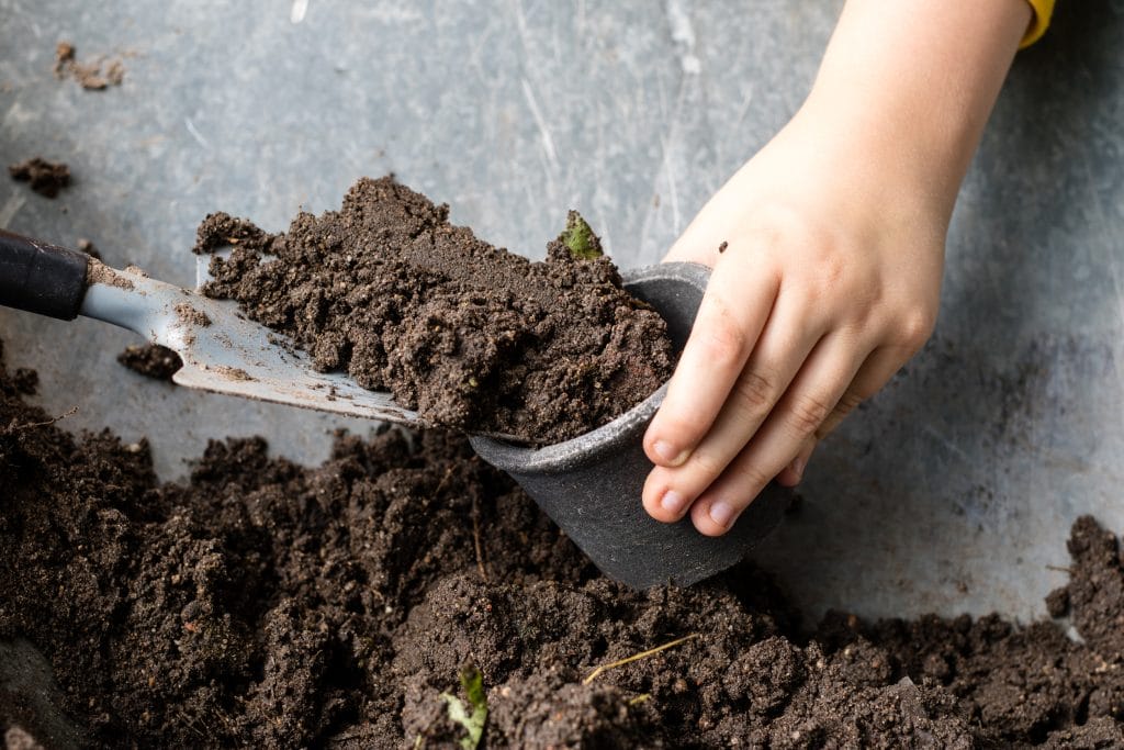 What Is The Best Soil For Container Gardening?