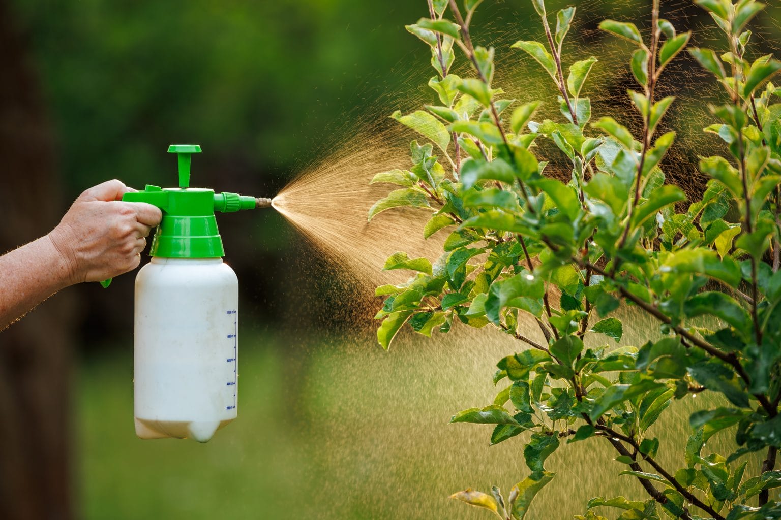 Reasons Why You Should Stop Using Pesticides in Your Garden