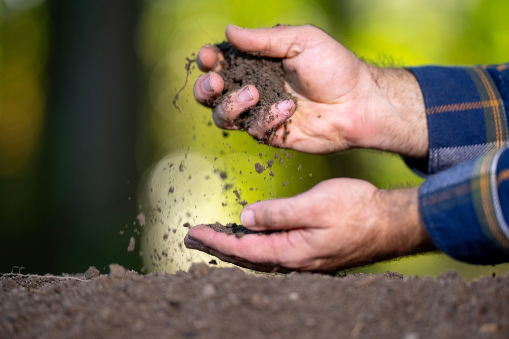 Soil Test Warning: What North Carolina Gardeners Are…