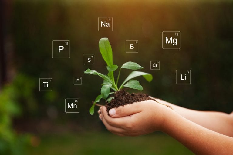 Soil Scientists Warn: This Common Amendment Is Spreading Heavy Metals ...