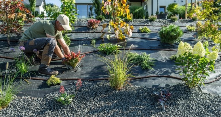 8 Tips For Designing Your Garden For Efficiency