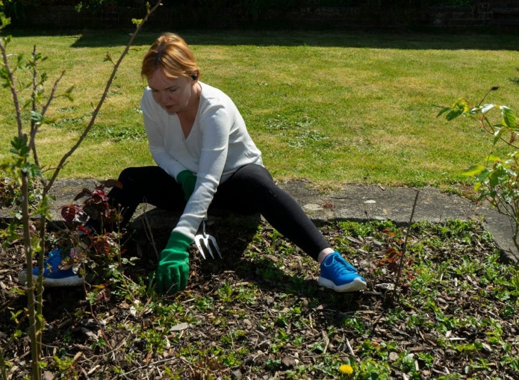 March Weeds That Spread Quickly If You Ignore Them
