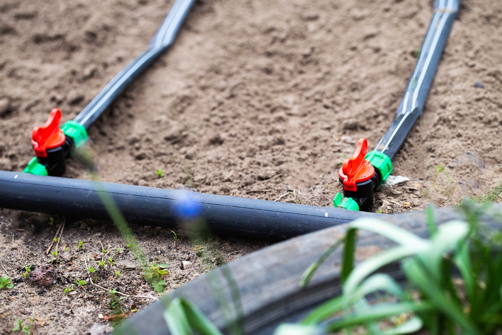 Install a DIY Drip Irrigation System to Save Water and Money This June
