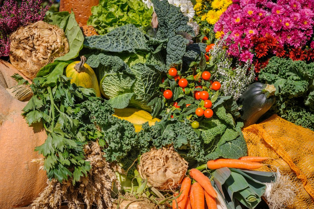 9 Flowers That Secretly Help Your Vegetable Garden Grow Better
